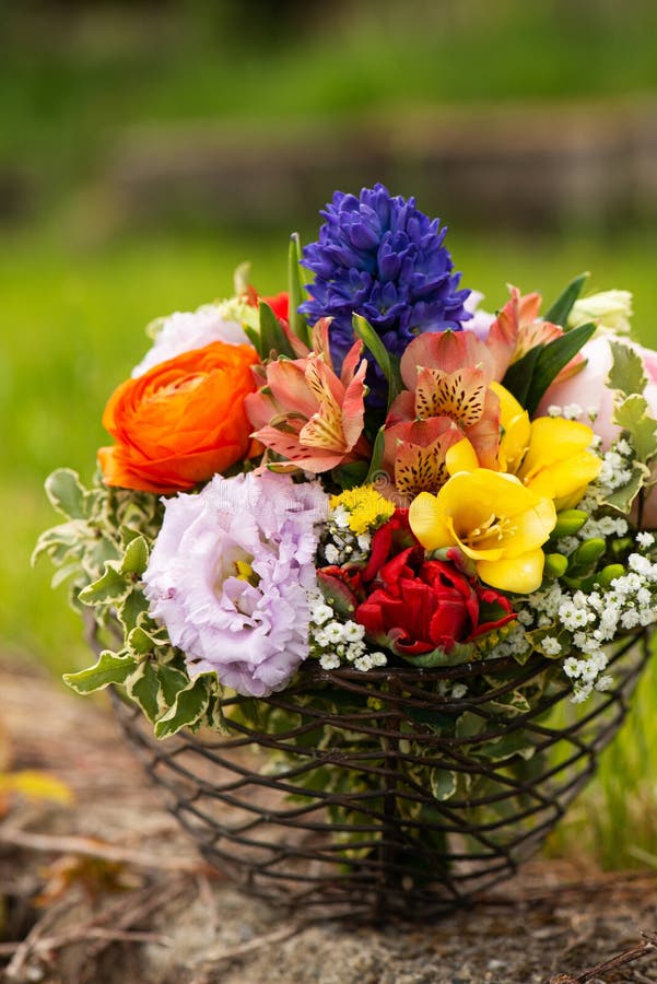 Colorful Spring Flower Bouquet in a Metal Basket Stock Photo - Image of ...