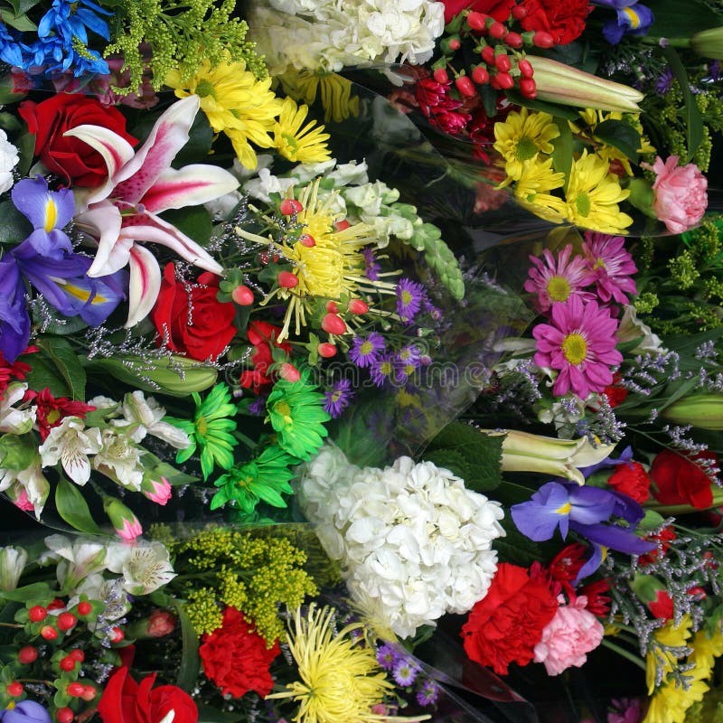 Colorful Spring Flowers stock photo. Image of spring, present - 329998