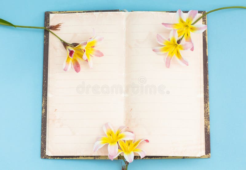 Colorful Spring Flowers, with Blank Open Diary for Text. Stock Image ...