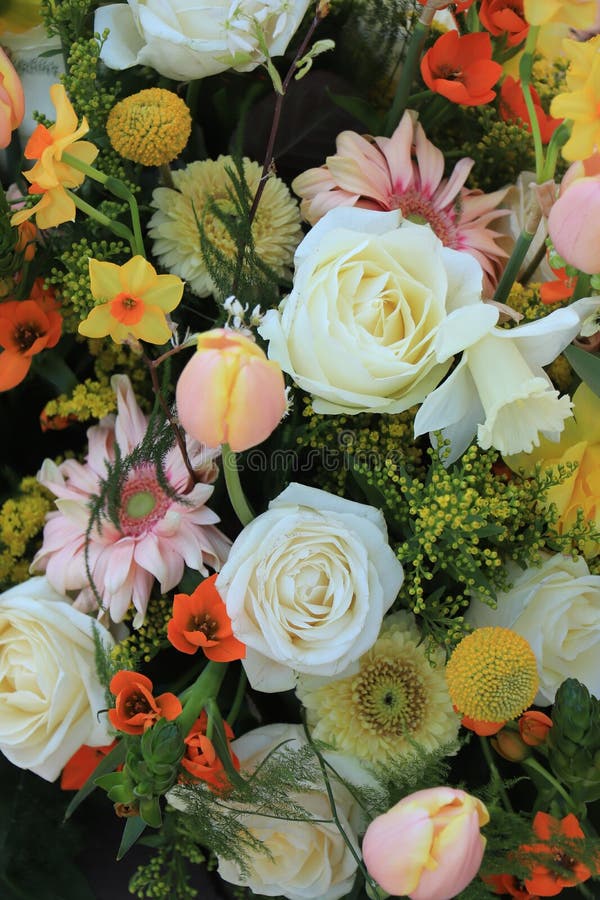 Colorful spring flowers stock image. Image of gerbera - 182028409