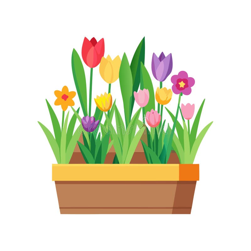 Colorful Spring Flowers in a Planter Box: Tulips and Daisies Stock ...