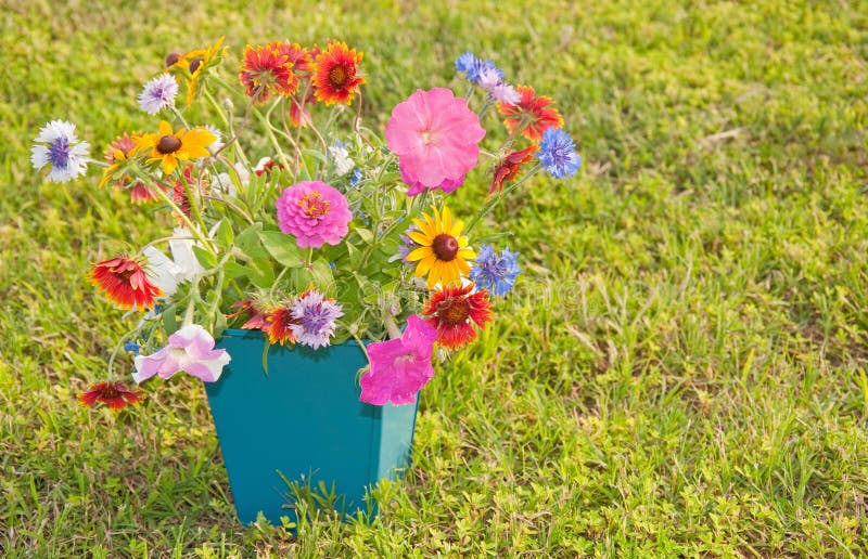 Colorful Spring Flowers in a Square Container Stock Photo - Image of ...