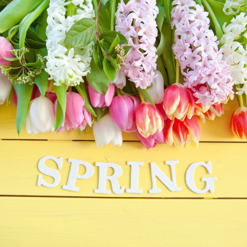 Colorful spring flowers stock image. Image of tulips - 48983865
