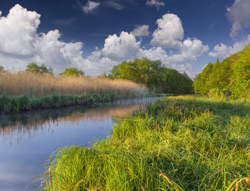 Misty river stock image. Image of flowing, cascading, misty - 2684845