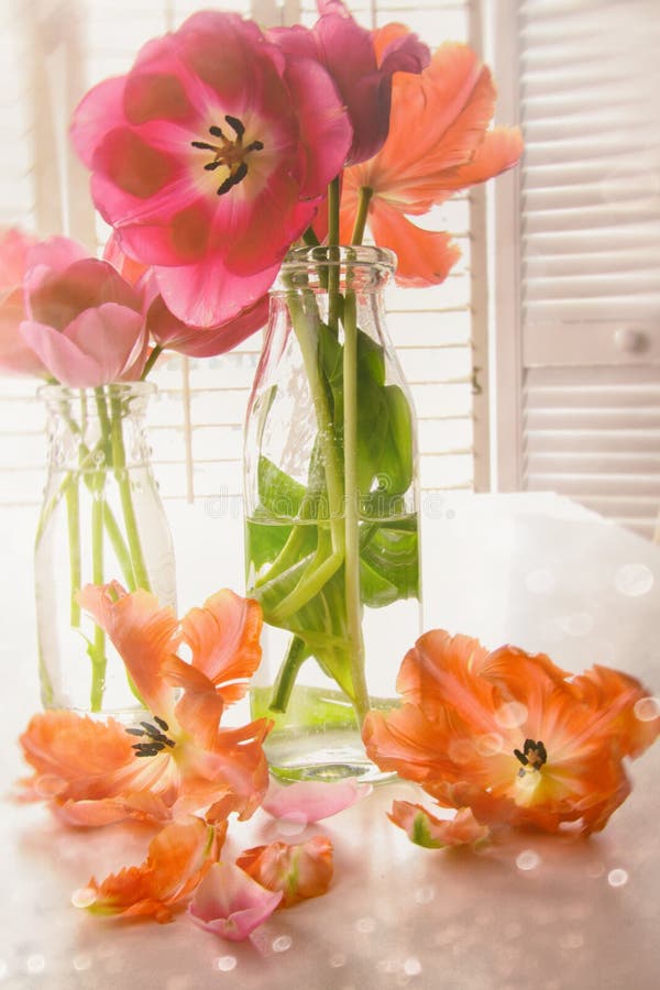 Colorful Spring Tulips Near Window Stock Photo - Image of border ...