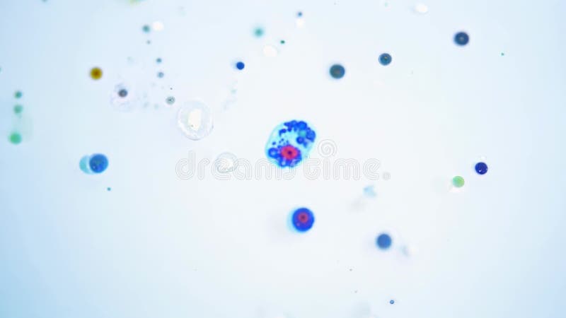 Colorful Stained Cells Under Microscope on Light Background with Soft ...