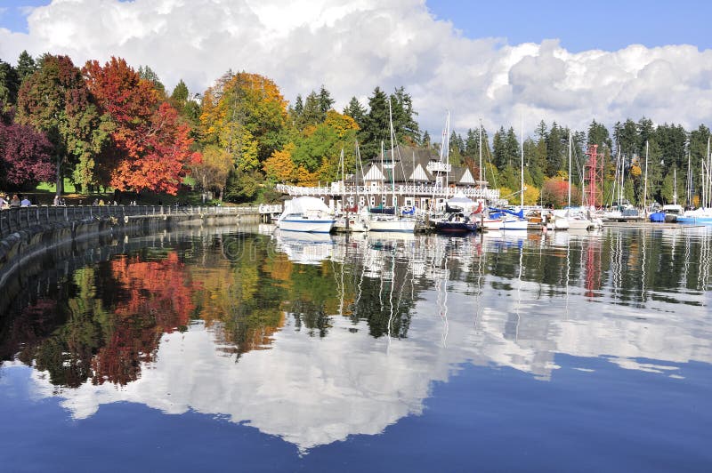 The Fall in Stanley Park, Vancouver. Stock Image - Image of stanley ...