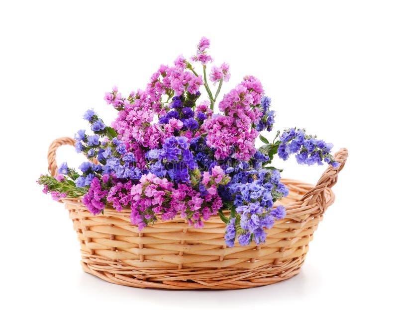 Colorful Static in the Basket Stock Photo - Image of colorful, gift ...