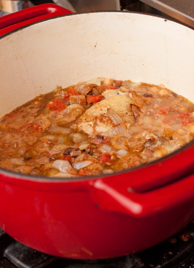 Colorful Stew in Red Cast Iron Pot Stock Photo - Image of broth ...