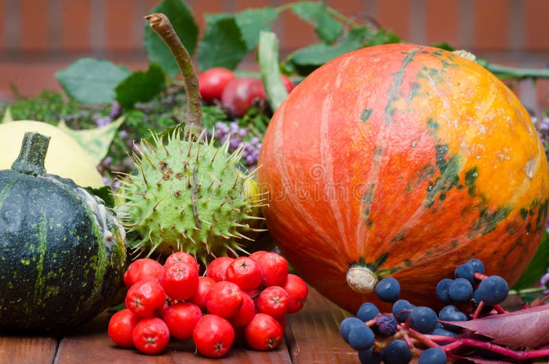 Colorful Still Life with Fall Plants Stock Image - Image of harvest ...