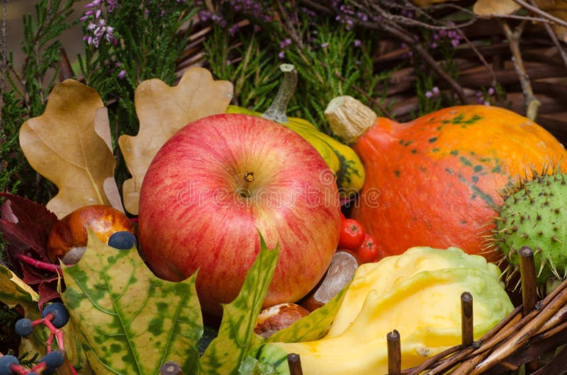 Colorful Still Life with Fall Plants Stock Image - Image of colors ...
