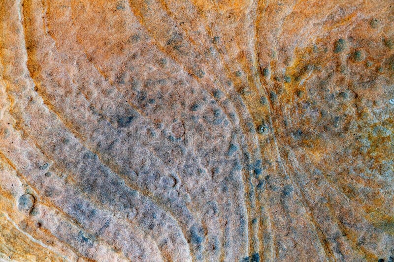 Colorful Stone Surface with Organic Lines Stock Image - Image of ...