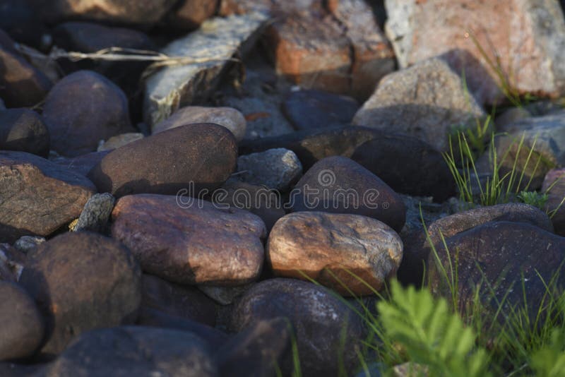Colorful Stones on the Riverbank. Round Stones on the Beach Stock Photo ...