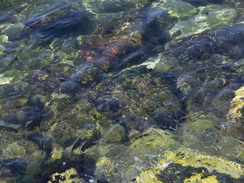 Colorful stones in water stock photo. Image of closeup - 39700592