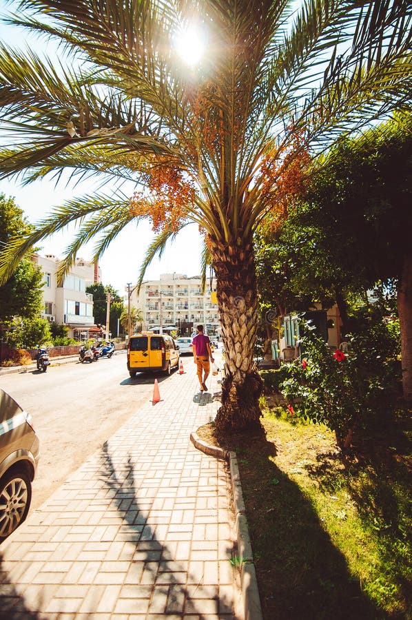 Colorful Street View in Turkey Editorial Image - Image of istanbul ...