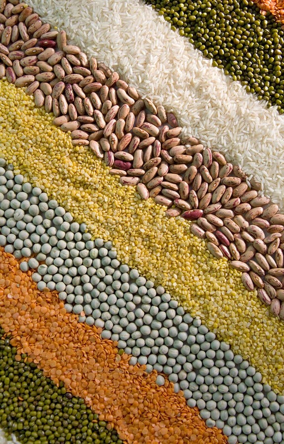 Colorful Striped Rows of Dry Grains Stock Image - Image of diagonal ...