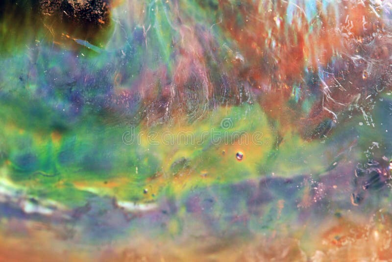 Colorful Structure of the Inside Abalone Shell Stock Image - Image of ...