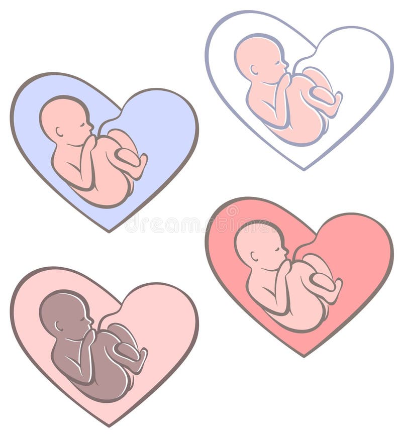 Baby in the womb stock vector. Illustration of womb - 100905239