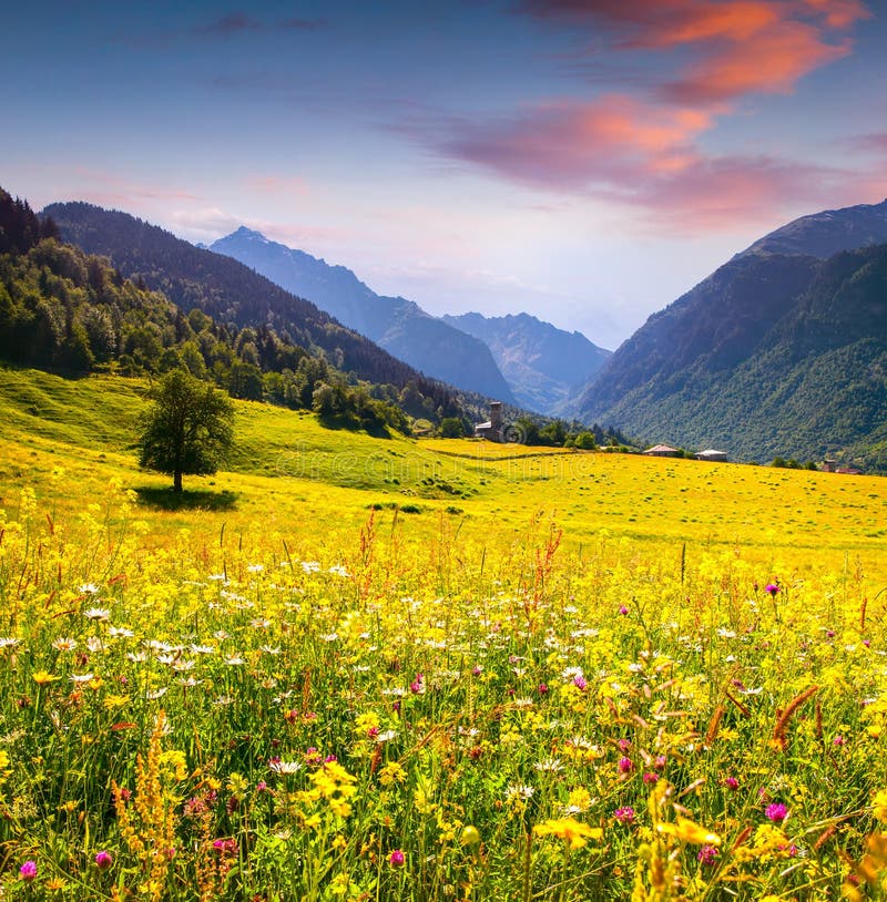 Colorful Summer Landscape in Caucasus Mountains Stock Image - Image of ...