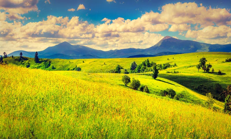 Colorful Summer Landscape in the Mountains Stock Photo - Image of ...