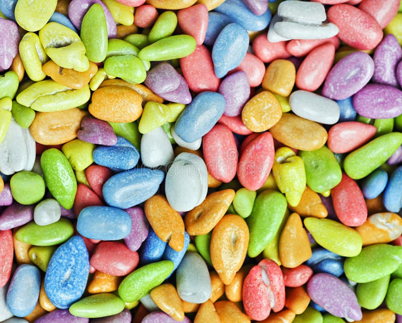 Colorful sunflower garden stock photo. Image of sunflower - 33152542