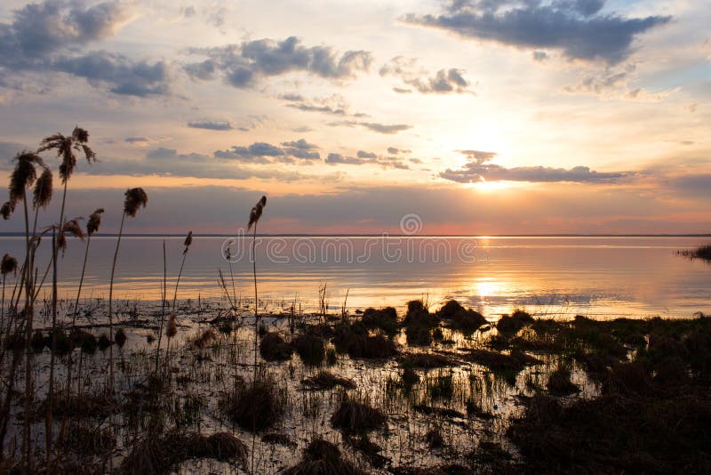 Colorful Sunset on the Lake Stock Photo - Image of scene, outdoors ...