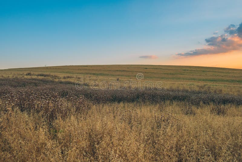 Colorful Sunset Over Farm Field Stock Image - Image of countryside ...