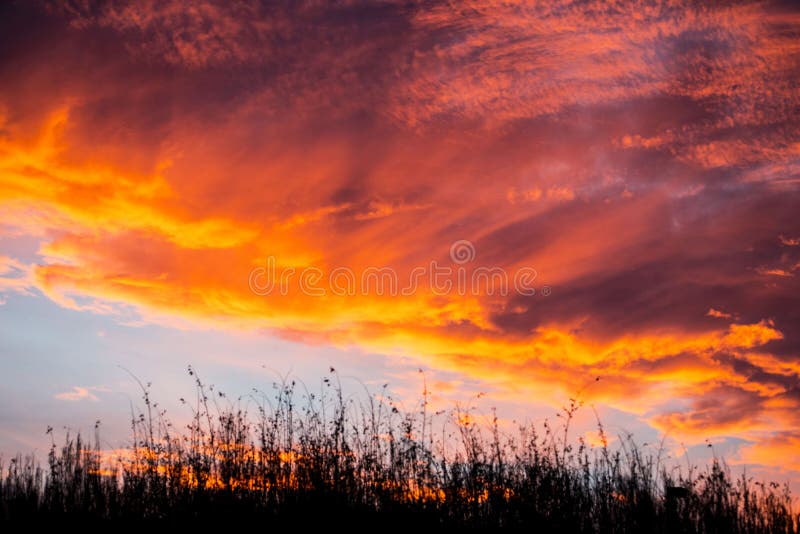 Colorful Sunset Over Field Grasses. Stock Photo - Image of grass ...
