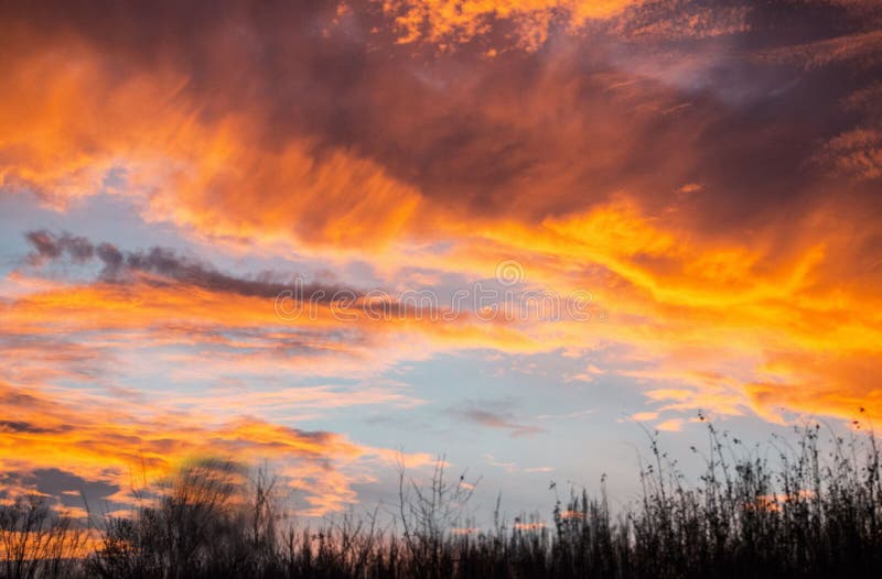 Colorful Sunset Over Field Grasses. Stock Image - Image of landscapes ...