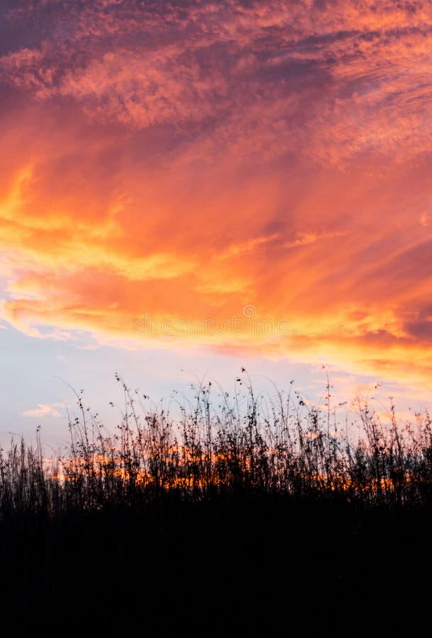 Colorful Sunset Over Field Grasses. Stock Photo - Image of nature, dusk ...