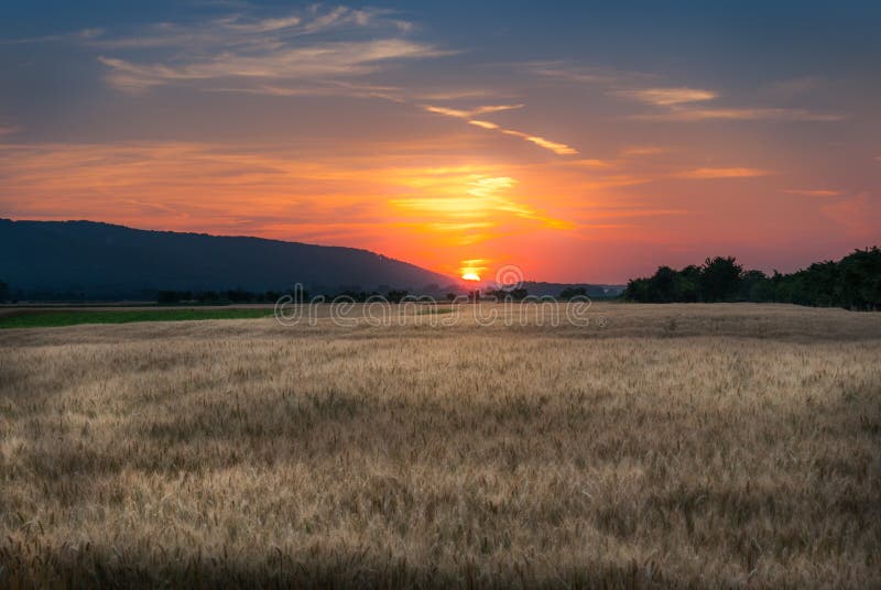 Colorful sunset over field stock image. Image of nonurban - 32418845