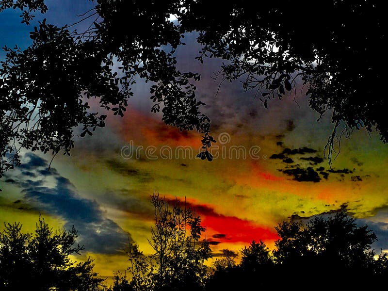 Colorful Sunset Over Tree Tops Stock Image - Image of treetop, trees ...
