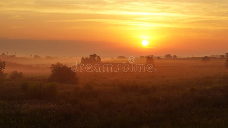Colorful Sunset Over Wheat Field Stock Photo - Image of food, horizon ...