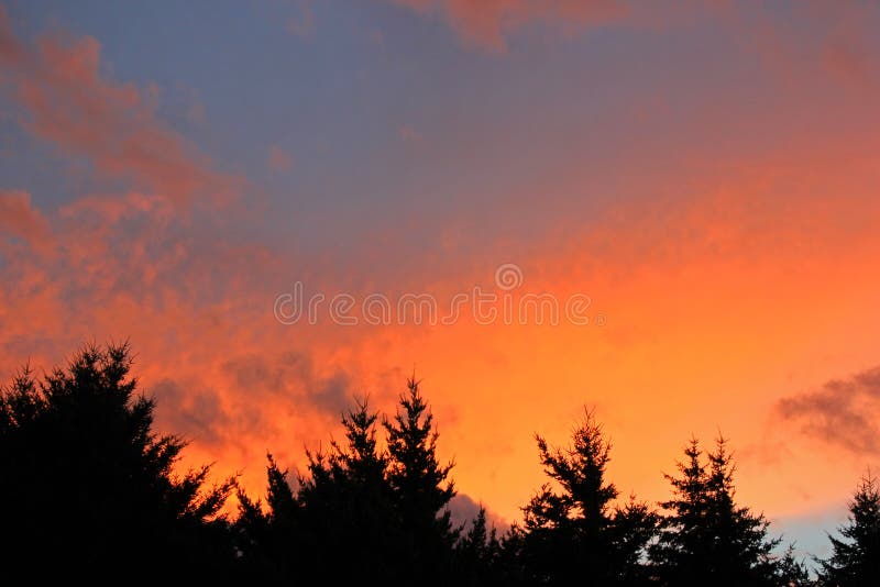 Colorful Sunset with Shadow of Trees Stock Photo - Image of sunset ...