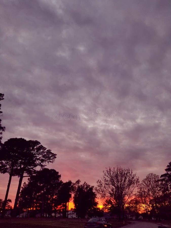 Old Oak Tree on the Horizon Stock Photo - Image of open, countryside ...