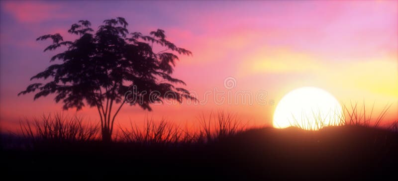 Colorful Sunset with Tree Panoramic Stock Image - Image of scenics ...