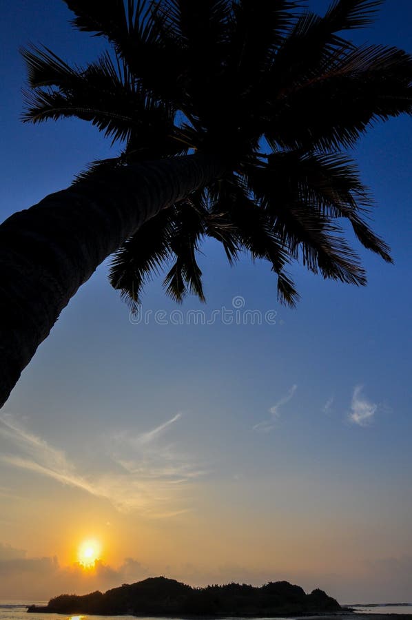 Colorful Sunset on Tropical Beach with Palm Trees Silhouettes Stock ...