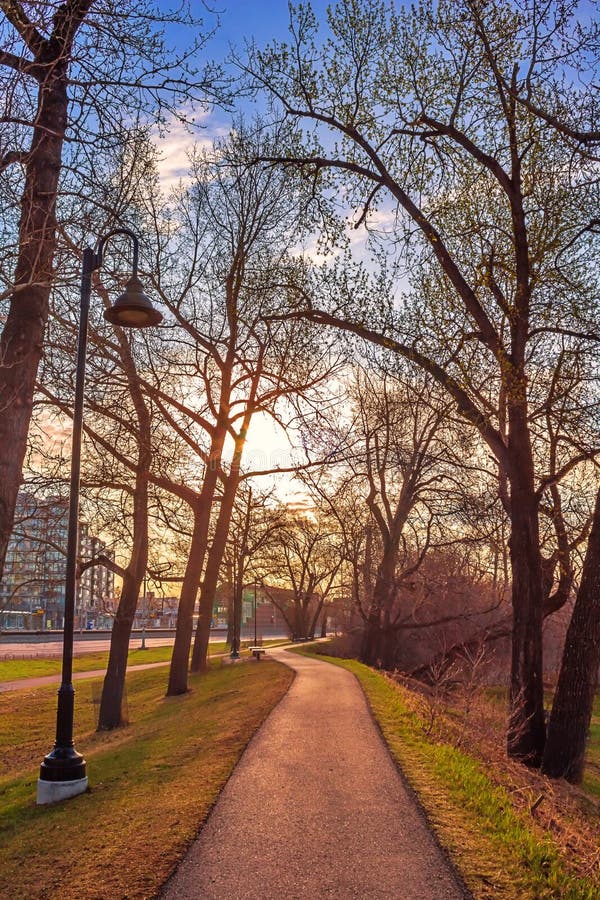 Sunshine Over a Park Pathway Stock Image - Image of natural, landscape ...
