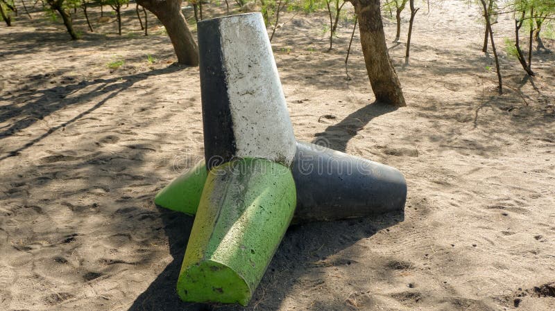 Colorful tetrapode stock photo. Image of leaf, tetrapods - 265838036