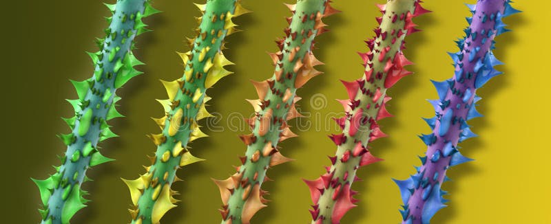 Colorful thorns stock photo. Image of colourful, composition - 11176726