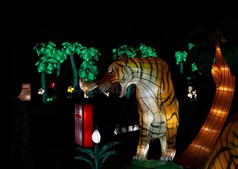 Colorful tiger lantern editorial stock photo. Image of kind - 167417783