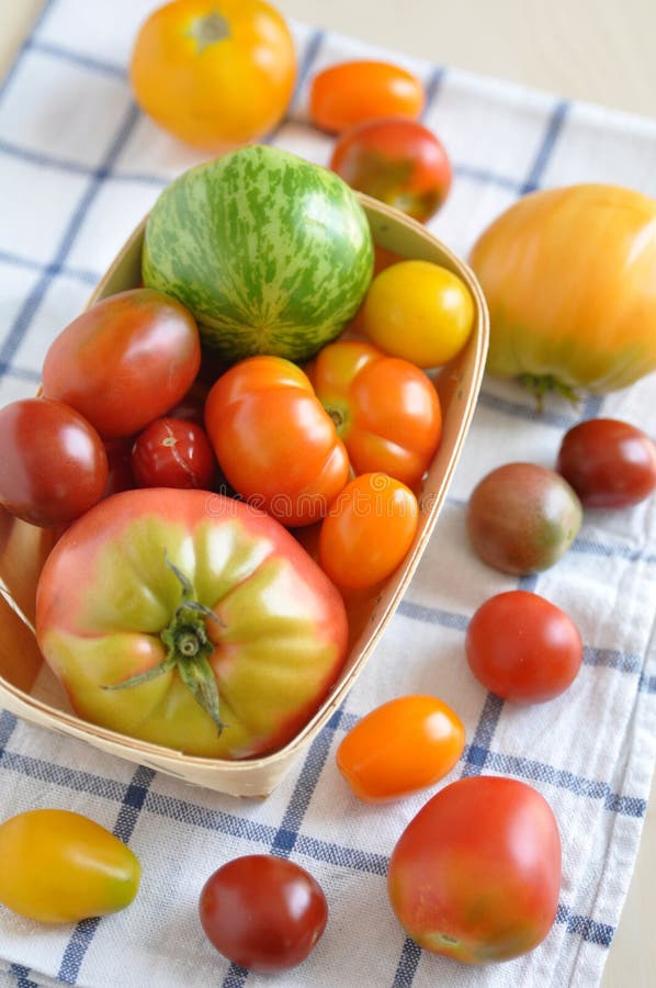 Colorful Tomatoes stock photo. Image of heirloom, bamboo - 32118488