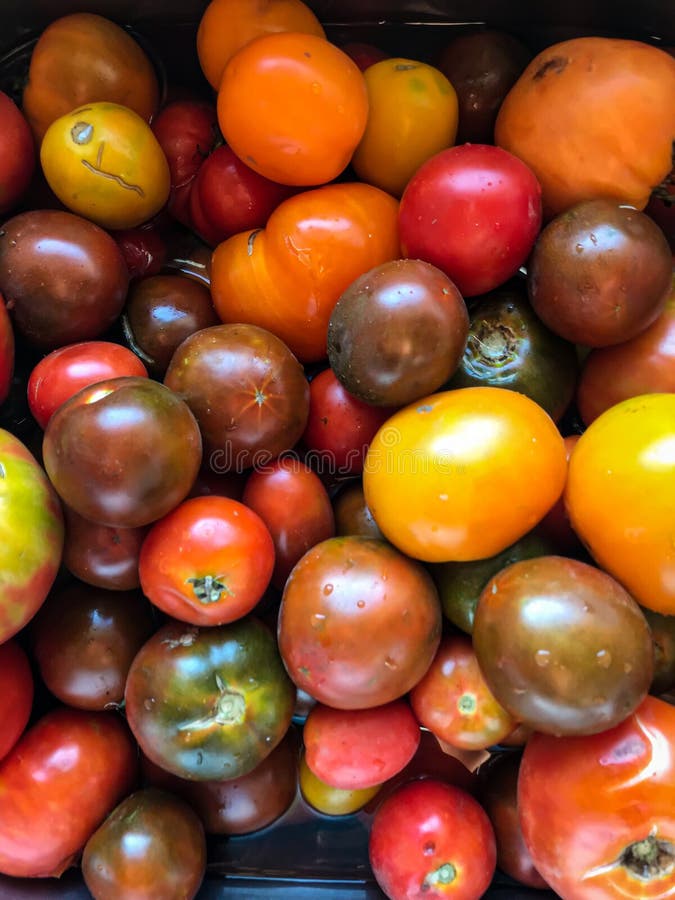 Colorful Tomatoes of Different Sizes and Kinds, Top View. Stock Photo ...