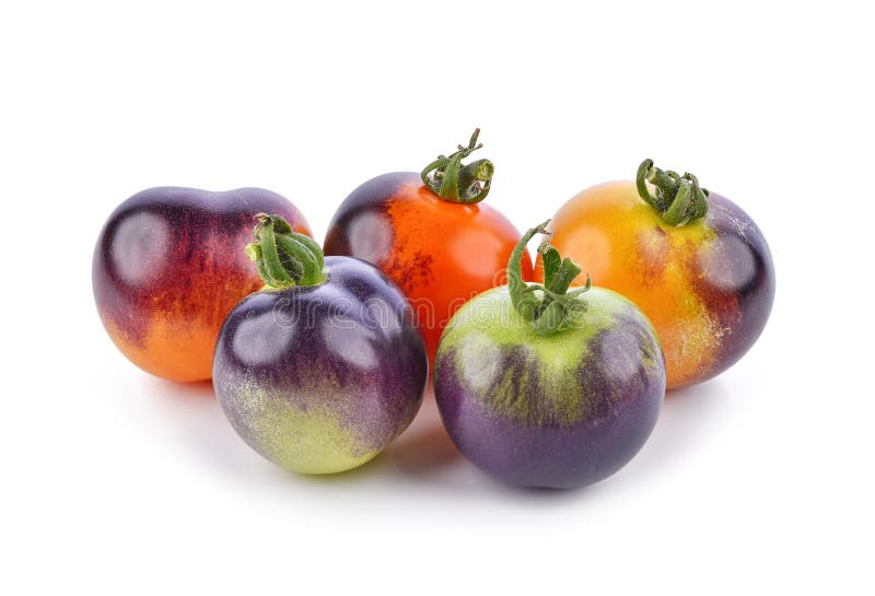 Colorful Tomatoes Isolated on White Background. Stock Photo - Image of ...