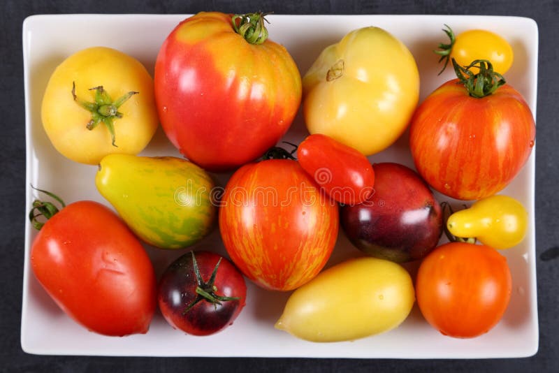 Colorful tomatoes stock image. Image of rustic, season - 232097537