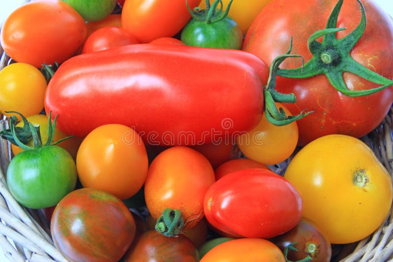 Colorful tomatoes stock image. Image of close, small - 33767991