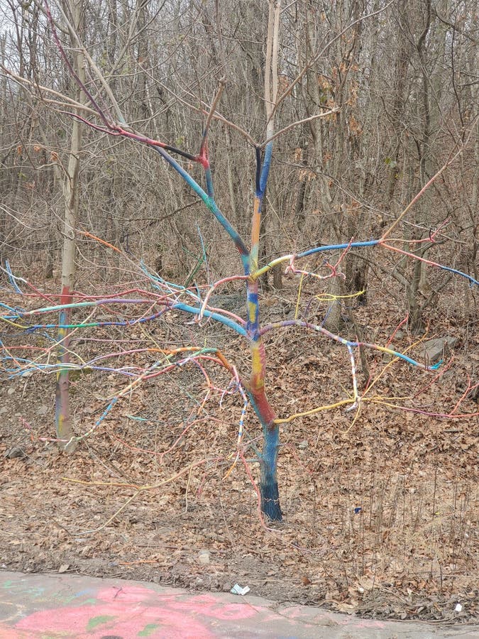Colorful tree painted stock image. Image of floor, sand - 184237719