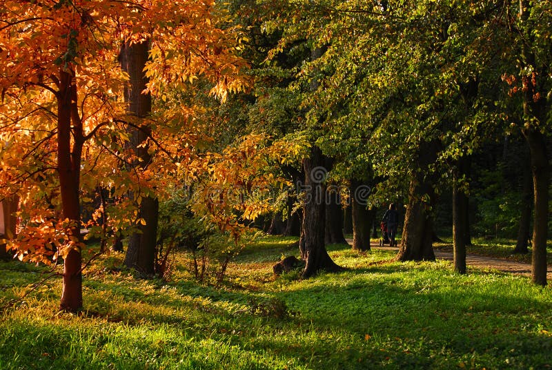 Colorful Trees Picture. Image: 3282923