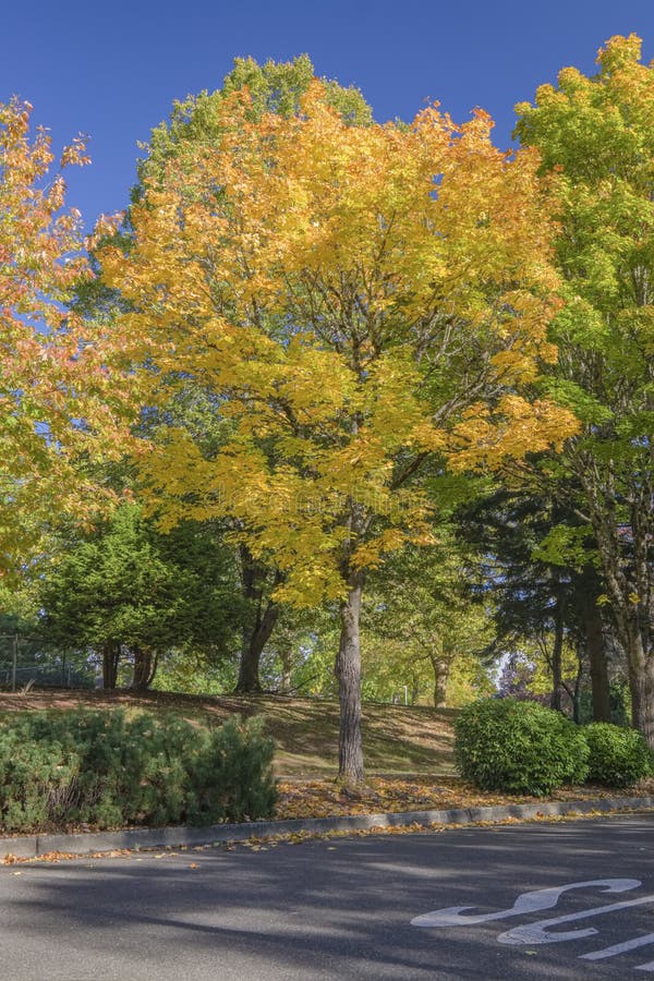 Comfyui Chnages Stock Photos - Free & Royalty-Free Stock Photos from ...