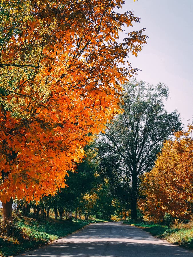 Beautiful fall photo stock photo. Image of fall, beautiful - 107772956